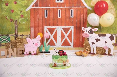 بک دراپ تولد یک سالگی تم مزرعه کد 10 عکس گراف