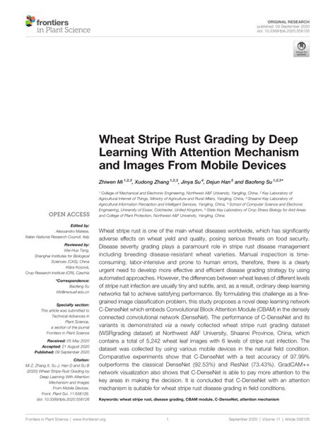 Pdf Wheat Stripe Rust Grading By Deep Learning With Attention