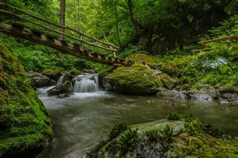 Adjara Georgian Travel Guide