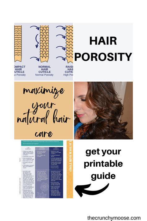 Hair Porosity Test For Low High And Normal Porosity With Printable