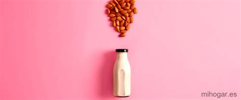 Leche De Coco Light Lidl Una Alternativa Saludable Y Deliciosa Mi Hogar