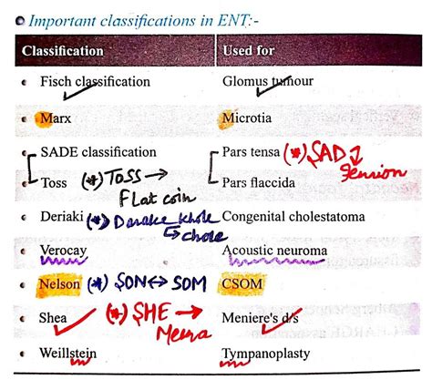 √ Fisch Classification Fischlexikon