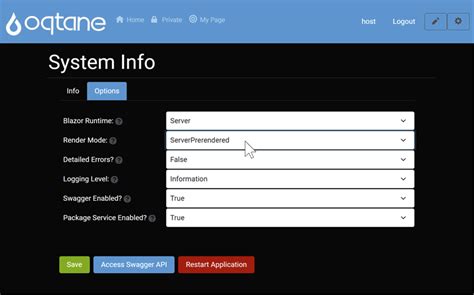 Serverprerendered Oqtane 22 Missing Html Output Produced By Dynamic
