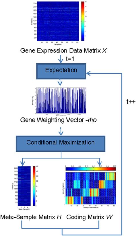 Outline Of The Ecm Based Nmf Mcc Algorithm Download Scientific Diagram