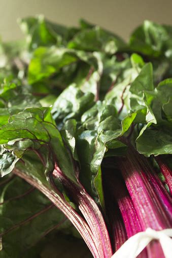 요리하지 않고 신선한 빨간 차드 채식주의자와 비건을 위한 건강한 음식 건강한 생활방식에 대한 스톡 사진 및 기타 이미지 건강한 생활방식 건강한 식생활 근대 비트