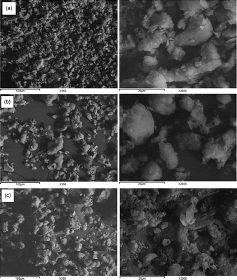 Scanning Electron Micrographs Of A Unmodified Bentonite B