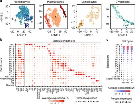 subclustering analysis of hemocytes in the lymph gland a subclusters of