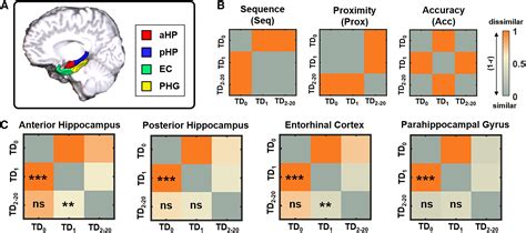 Hippocampal Orchestration Of Associative And Sequential Memory Networks For Episodic Retrieval