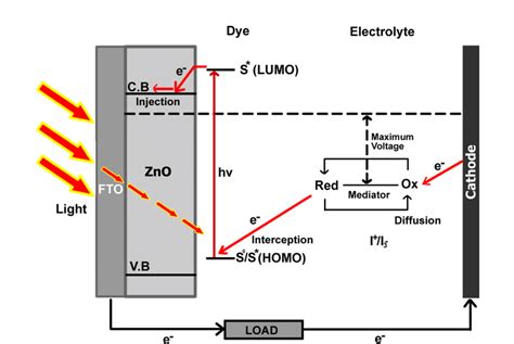 Dssc Working Principle Download Scientific Diagram