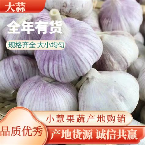 “蒜你狠”行情再现！现在大蒜价格多少钱一斤？ 惠农网