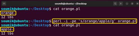 The “perl” Command In Linux With 4 Practical Examples Linuxsimply