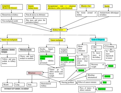Pathway Tumor Ginjal Pdf