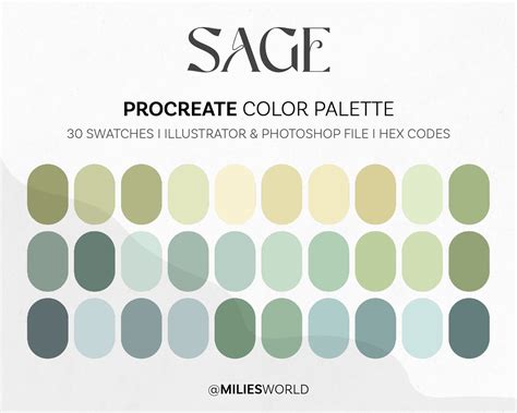Sage Procreate Color Palette Color Swatches Ipad Etsy
