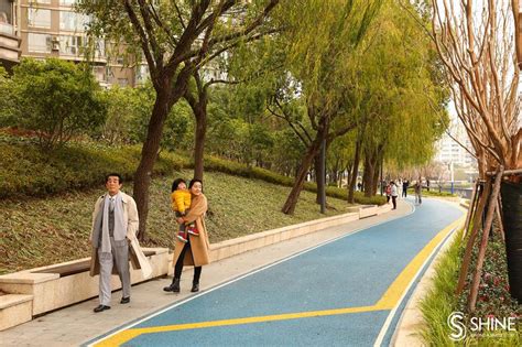 Suzhou Creek Greenway Set For 2020 Completion Shine News
