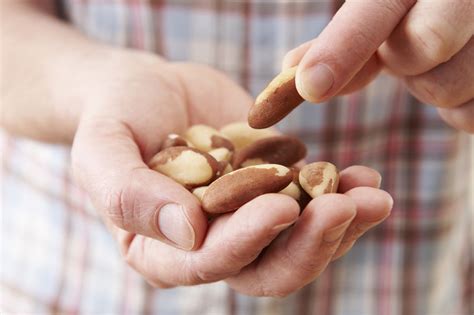 Myth Or Fact Do Nuts Make You Fat Pekant