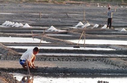 Cara Membuat Garam Laut Alami Memanfaatkan Kondisi Alam Pt Kencana