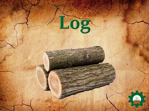 Second Life Marketplace Dfs Texture Log