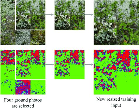 Crop And Resize Data Augmentations A Diagram Outlining The Crop And Download Scientific