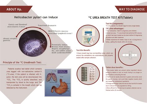 13c Urea Breath Test Kit For Diagnosis Of Helicobacter Pylori Detectio