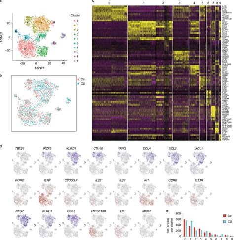 Identification Of Ilc Clusters In Small Intestinal Lamina Propria Of