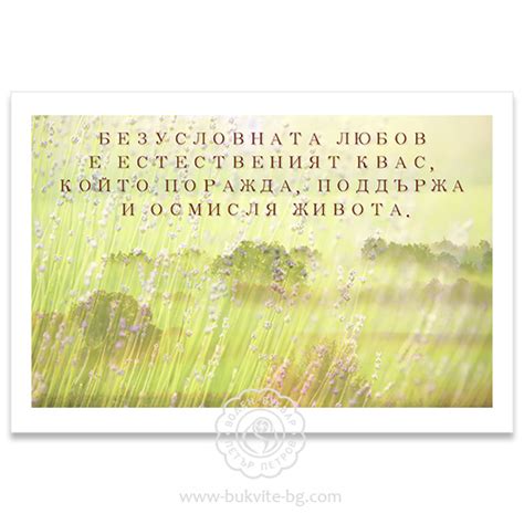 Магнити за хладилник големи Сувенири и подаръци от България