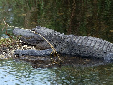 Everglades National Park