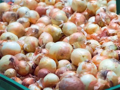 Tondo Warehouse Raid Over Bags Of Smuggled Onions Seized Metro Sun Daily