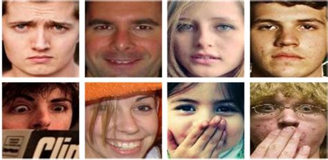 Figure 1 From Occlusion Facial Expression Recognition Based On Feature
