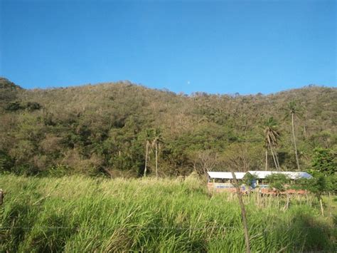 6 Imágenes Fotos De Stock Objetos En 3d Y Vectores Sobre Abra De Ilog Shutterstock