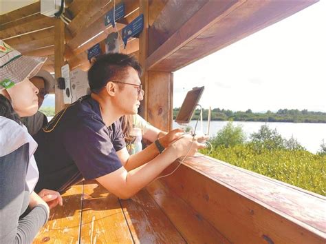 福田区直击2024黑脸琵鹭全球同步普查启动 福田动态 福田政府在线