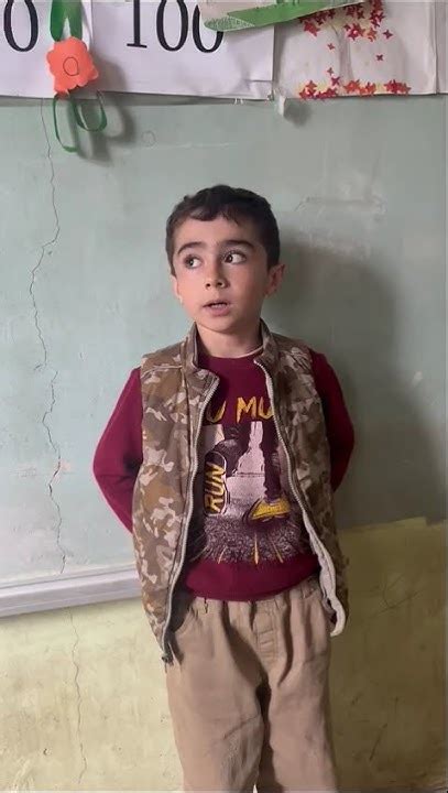 მესამე კლასი ცხოველები Youtube