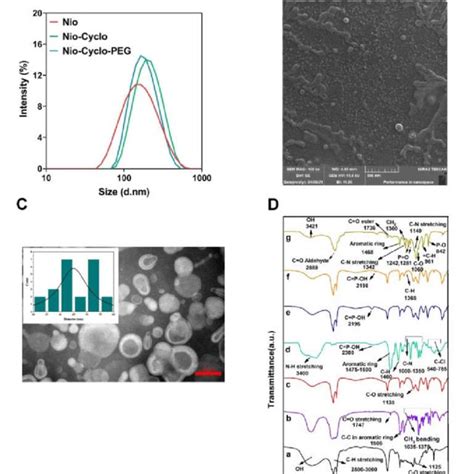A Particle Size Distribution Of Niosome Nio Download