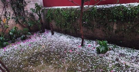 “llegó La Navidad” Así Se Vivieron Las Intensas Lluvias Y Granizadas