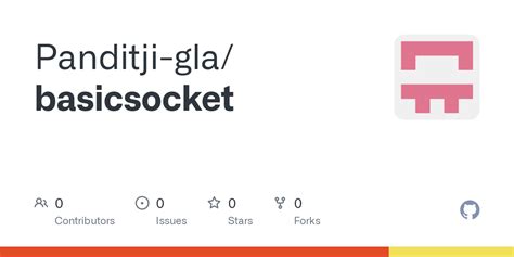 GitHub Panditji Gla Basicsocket