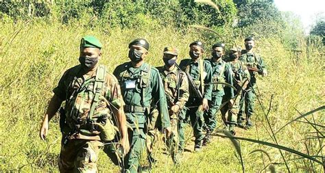 មេបញ្ជាការកងការពារព្រំដែនគោកលេខ៤០៣ បន្តចាត់កម្លាំងល្បាតសហការតាមខ្សែរបន្ទាត់ព្រំដែន