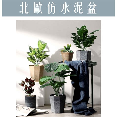 免運 台灣現貨 北歐簡約仿水泥盆 控根盆 水泥盆 塑膠花盆 塑膠盆 盆器 北歐盆 多肉花盆 花器 盆栽容器 陶瓷花盆 蝦皮購物