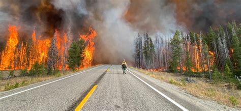 Wildland Fire Career Opportunities Us Forest Service