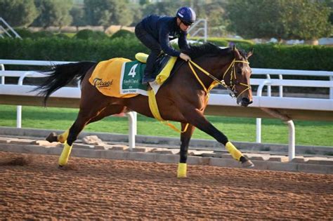 【サウジc】13ウシュバテソーロ 適応力に期待、高木師「いつも通りの姿を見せてくれている」 競馬ニュース Netkeiba