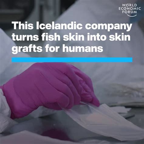 Unicorn Congratulations 👏🇫🇴 I Hope The Faroe Islands Will Create Such… Oda W Andreasen