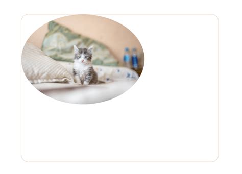 实现元素居中的 10 个css方法 腾讯云开发者社区 腾讯云