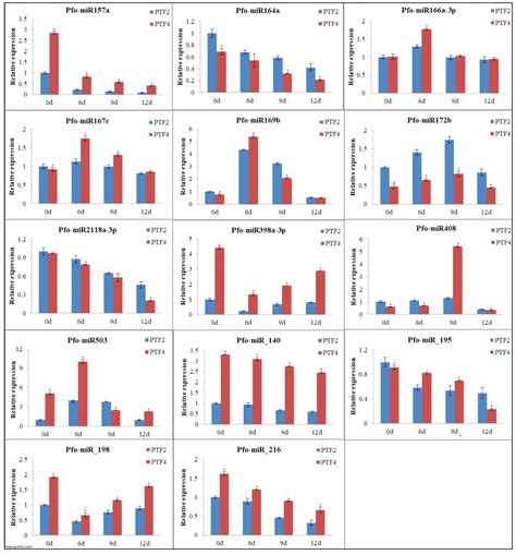 Conflict Minerals Policy Statement Example Then Eicc Within Eicc