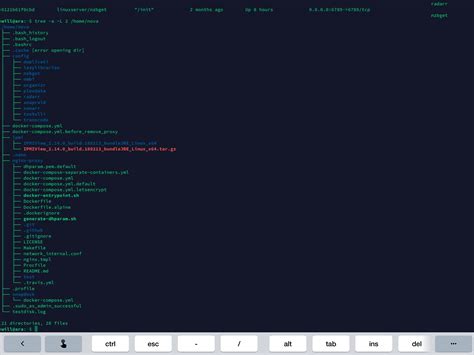 How Do You Arrange Your Volumes To Backup Volume Data Rdocker