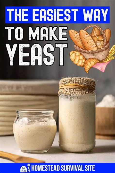 How To Use Instant Yeast Artofit