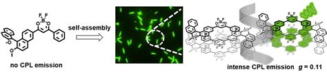 Intense Circularly Polarized Luminescence Induced By Chiral Supramolecular Assembly The