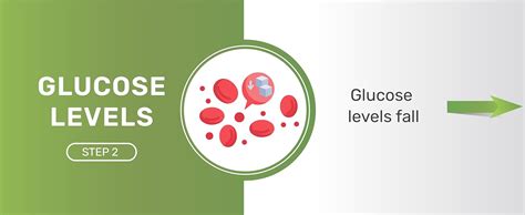 Ketone Test Strips 100 Keto Test Strips For Keto Low Carb