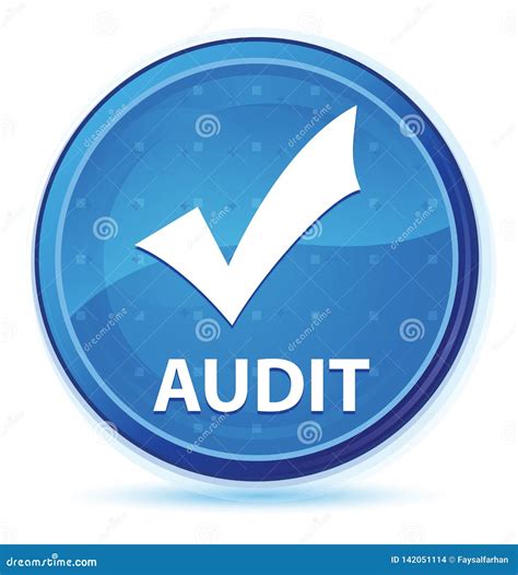 Audit Validate Icon Splash Natural Blue Round Button Cartoon Vector