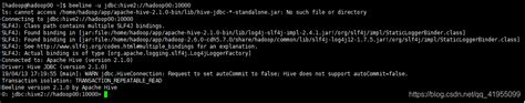 Hive学习之路三hiveserver2的启动与使用hive启动需要hiveserver2 Csdn博客
