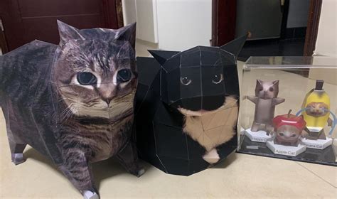 Big Memes Cat X2 11 Happy Cat Banana Cat Apple Cat Memes