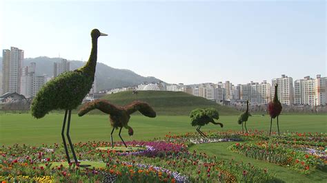 전국 순천만국제정원박람회 D 2손님 맞을 준비 끝 Ytn