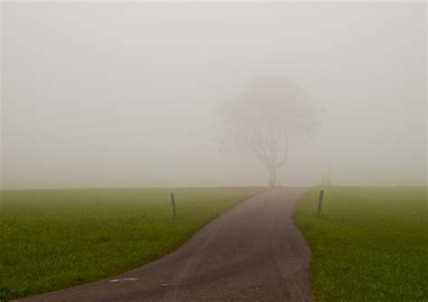 Zen, Fasten und Schweigen – ein Spaziergang im Nebel - Lassalle-Haus